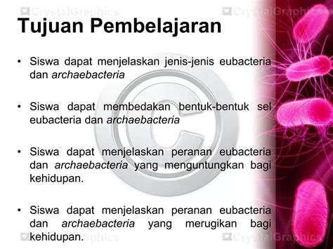 Archaebacteria Dan Eubacteria New2pptx