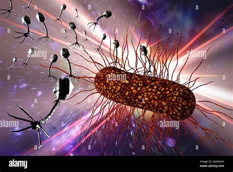 Closeup Bacteriophage Virus Attacking Bacteria Cells 3d Illustration