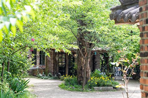 떠나기 가장 좋은 시기 6월 국내여행지 드라이브 코스 추천