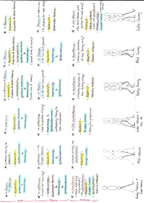 Scan 1583 001 12 04 2024 Human Body Systems 1 Studocu