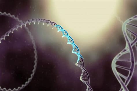 Anna Alessandra Chiaramonte Posted On Linkedin