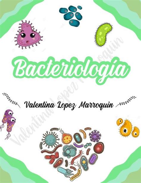 Bacteriología Hugo Florez Udocz