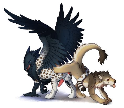 Rule 34 Anal Anal Sex Anthro Anthro On Feral Avian Barbs Black