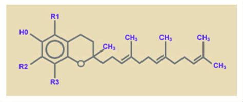 Tocotrienol Complex Excelvite Advancing Palm Nutraceutical Science