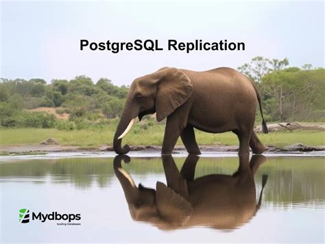Why Postgresql Is The Future Of Open Source Databases By Mydbops