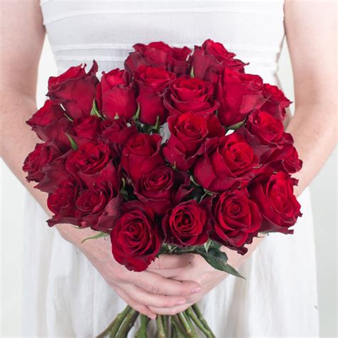 Red Explorer Rose Fresh Diy Wedding Flowers Flower Moxie