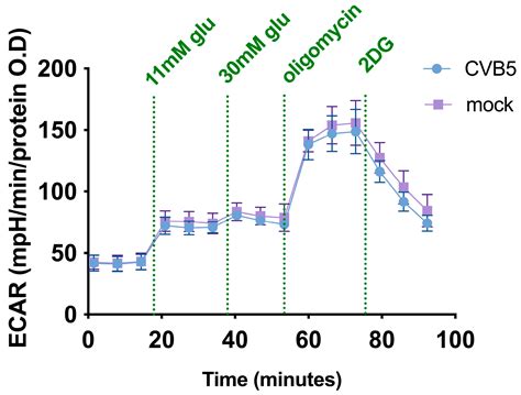 2 Deoxyglucose An Inhibitor Of Glycolysis Enhances The Oncolytic