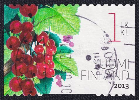 Redcurrants Ribes Rubrum Editorial Photography Image Of Juice Garden 373791492