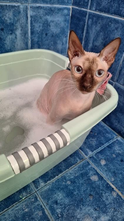 Washing Him Wednesday Tumbex