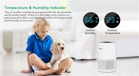 Acekool Air Purifier D02 H13 Hepa Filter Smart Mode Air Purifier