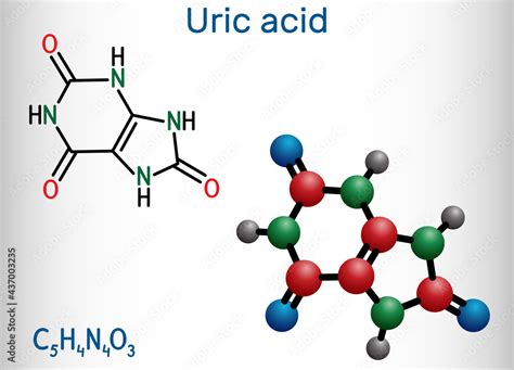 Capsicum Uric Acid At Bruce Lohr Blog