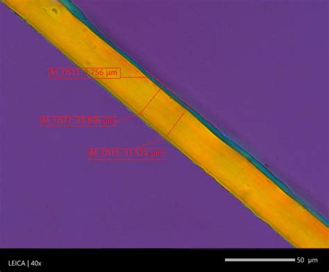 The Characteristic Structure Of The Three Layer Cast Polypropylene