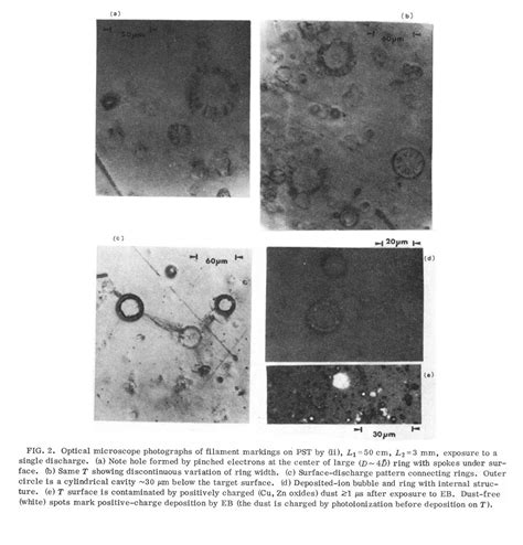 Martin Fleischmann Martin Fleischmann Memorial Project