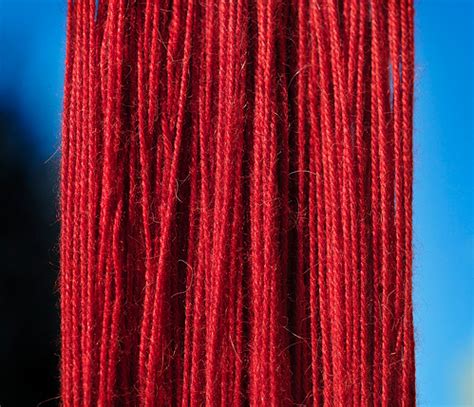 Brilliant Red Dye Made From Insects Make