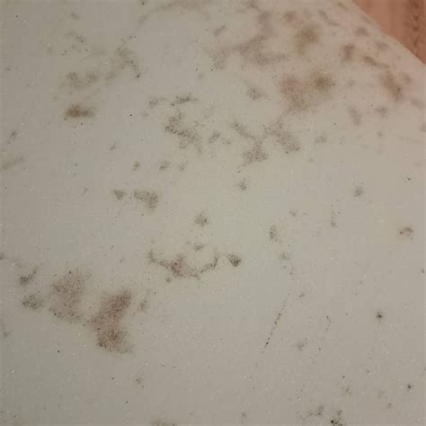 Medium Density Foam Sheet 6ft X 2ft Upholstery Cushion Uk Made Etsy Uk