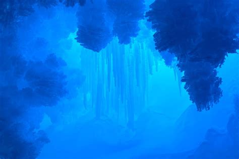 Stephen Noell Microbial Wonders In The Antarctic Unknown Geneva College