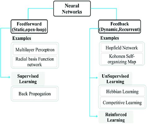 Classification Of Anns 57 Download Scientific Diagram