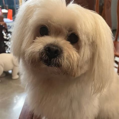 Leanne Liu Leanne Liu • Threads Say More