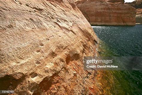 Moki Photos And Premium High Res Pictures Getty Images