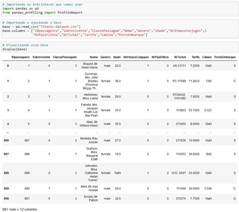 Pandas Profiling No Python Como Analisar Dados De Forma Rápida