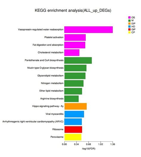 Statistical Classification Of Transcriptome Pathways Kyoto