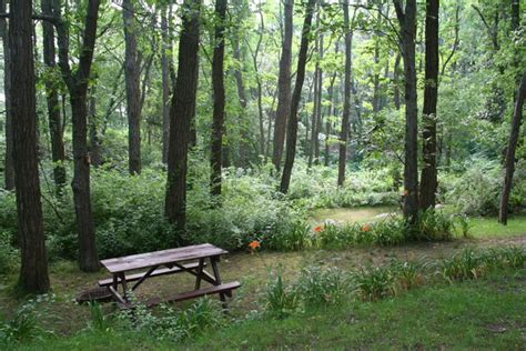 Mandt74 Pistrix14 Flickr