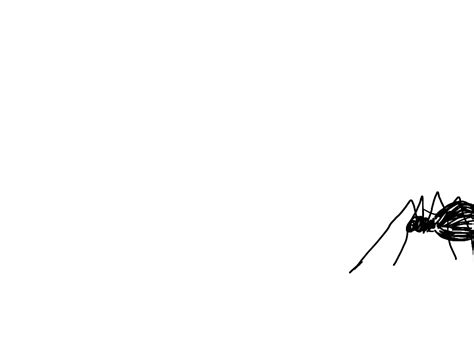Moving Spider 