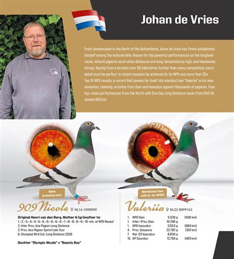 Johan De Vries Parte 2 Gps Auctions