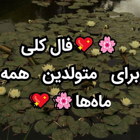 ‎شمع تراپیتاروتتاروت سکسیفال قهوهکد کیهانی‎ ‎🔮فال روزانه همراه با ماکسیم فال🔮 ~🌙برای