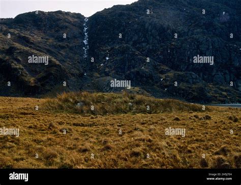 View E Of A Long Mound Just N Of Llyn Llagi Gwynedd Wales Uk With A Stream Running Down