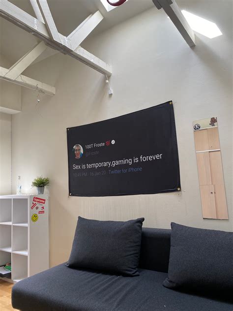 Sex Is Temporary Tweet Flagland