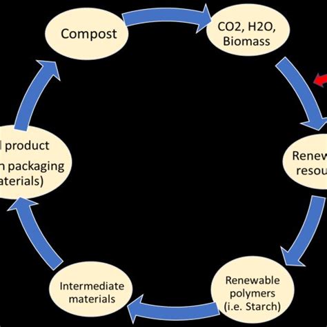 2 Life Cycle Of Green Packaging Materials Source Reprinted With