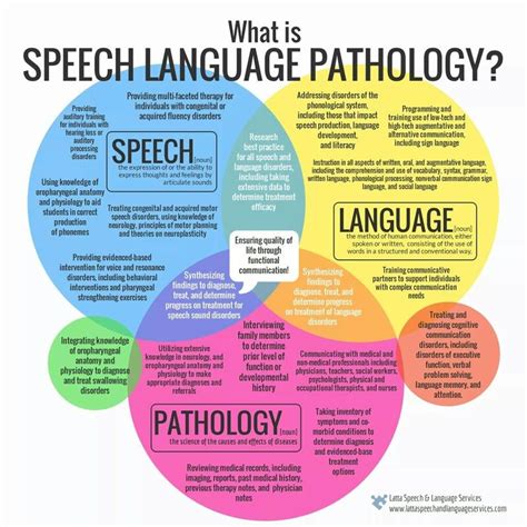 Bridging The Gap Ipp And Deaf Culture With Speech Language Pathology Home