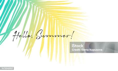 쇼핑3안녕하세요 여름 흰색 배경에 야자수에서 여러 가지 색의 그림자가 있는 환영 문구 여름에 대한 스톡 벡터 아트 및 기타 이미지 여름 야자 나무 Arecales