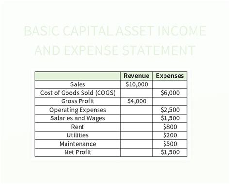 Basic Capital Asset Income And Expense Statement Excel Template And