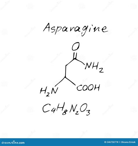 Asparagine Molecule Structure Stock Image 52523587