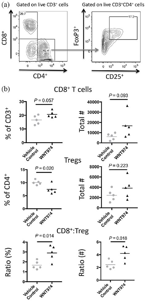 Cd8 T Cell And Treg Populations In Omental Tumor With Or Without
