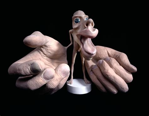 Somatosensory Cortex Homunculus