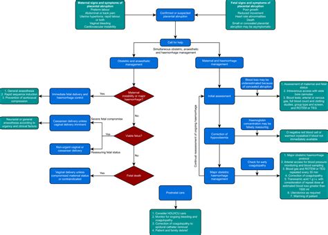 Placental Abruption Bja Education