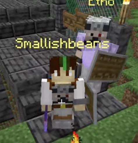 Smallishbeans Minecraft Skin