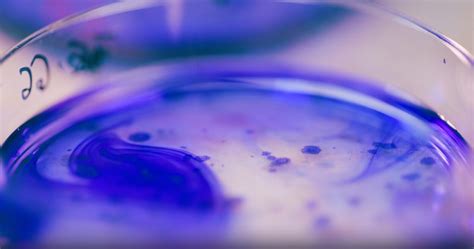 11 Most Dangerous Viruses In The World 2024 Life With Deadly Pathogens