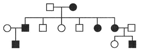 Cbb 42 Autosomal Inheritance I And Ii Flashcards Quizlet