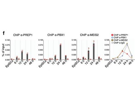 Formaldehyde Fixative 16 Wv Ultrapure Em Grade 5 Pack 10 Ml Per