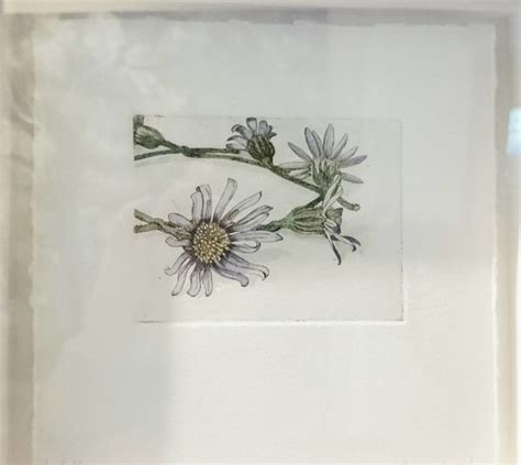 Nic Bladen Jane Eppel Johannesburg