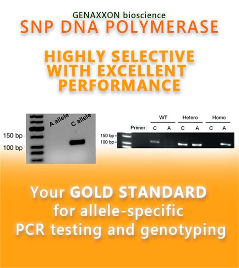Highly Selective Snp Dna Polymerases The Gold Standard For Allele Specific Pcr Testing And