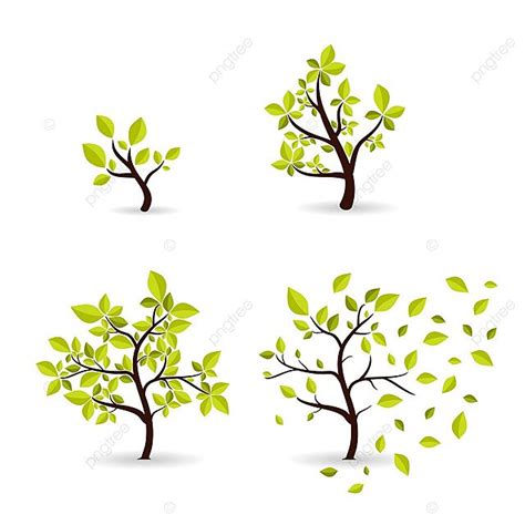 Eco Cycle Of Tree Growth Symbol Set Stem Botany Picture Vector Stem Botany Picture Png And