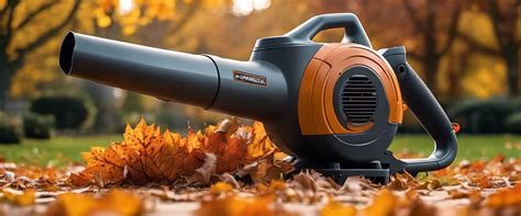 Corded Vs Cordless Electric Blowers