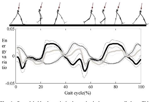Figure 6 From A Model Of Muscletendon Function In Human Walking At