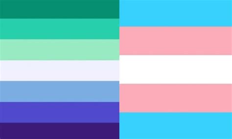Gay And Trans Flag Colors
