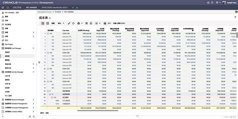 Oracle Primaveraunifier成本管理器cost Manager简要介绍primervera Unifier Csdn博客